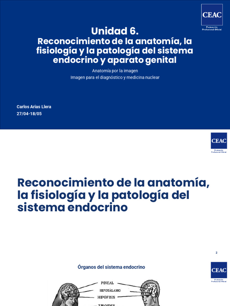 Reconocimiento de La Anatomã - A, La Fisiologã - A y La Patologã - A de Los Aparatos Endocrino y ...