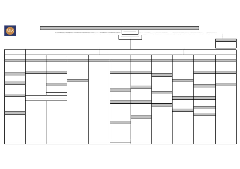 MAS Org Chart 15 November 2021 | PDF | Economies
