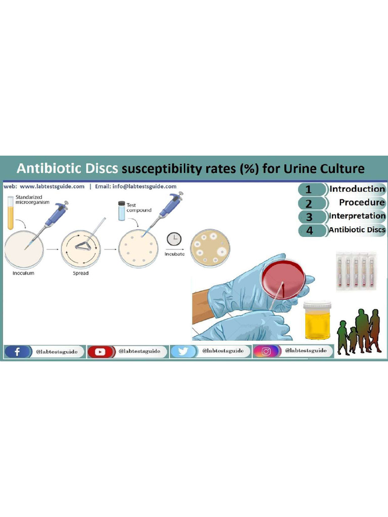 Antibiotic Discs in Urine Culture | PDF