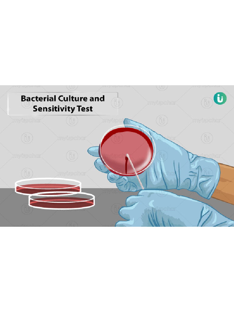 Bacterial Culture and Sensitivity Test | PDF
