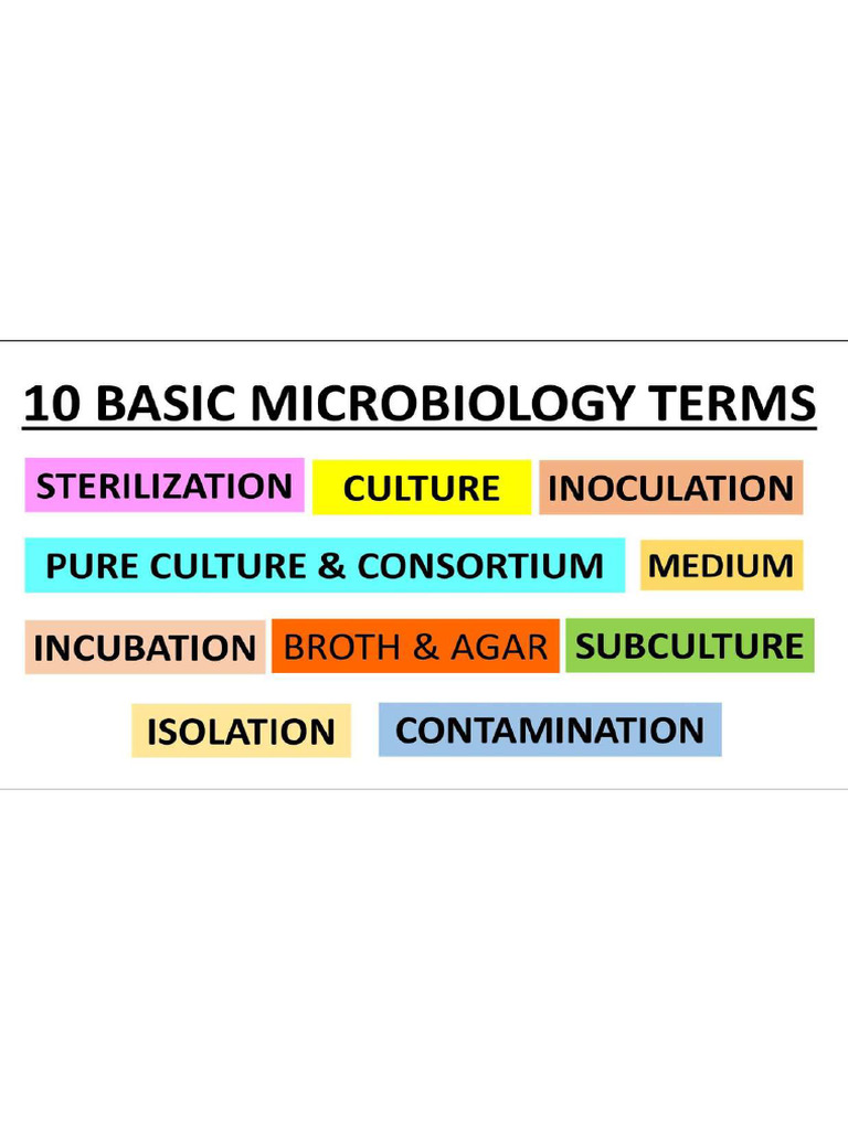 10 Basic Microbiology Terms | PDF