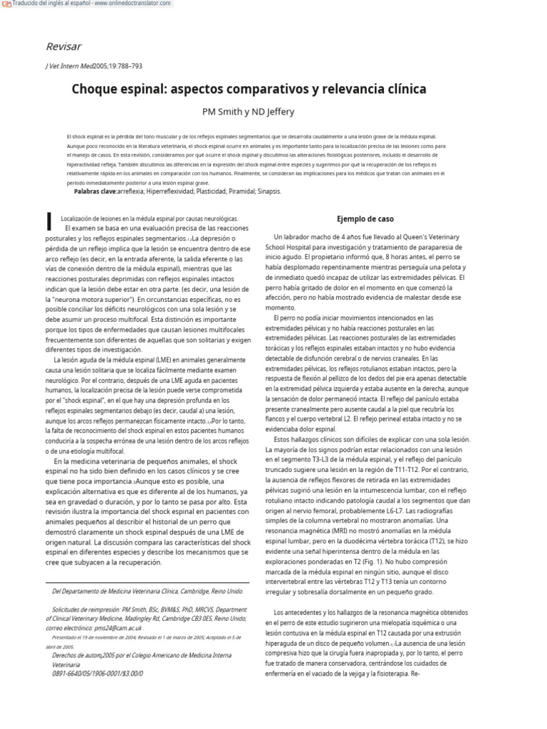 Choque espinal aspectos comparativos y relevancia clínica | PDF ...