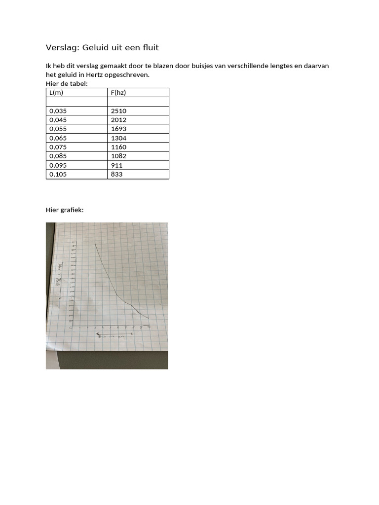 Verslag Geluid Uit Een Fluit | PDF