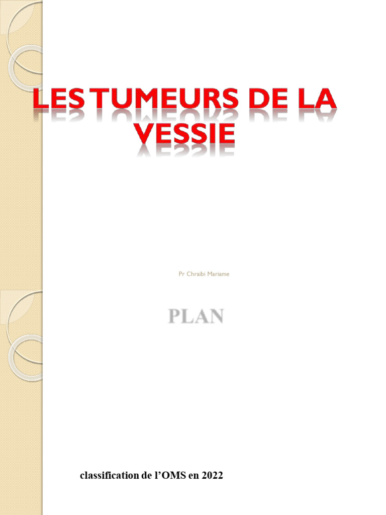 Classification et diagnostic des tumeurs de vessie | PDF | Cancer ...