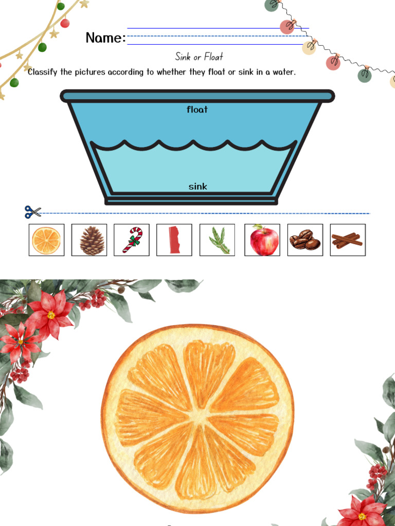 Science Worksheet, Sink and float | PDF