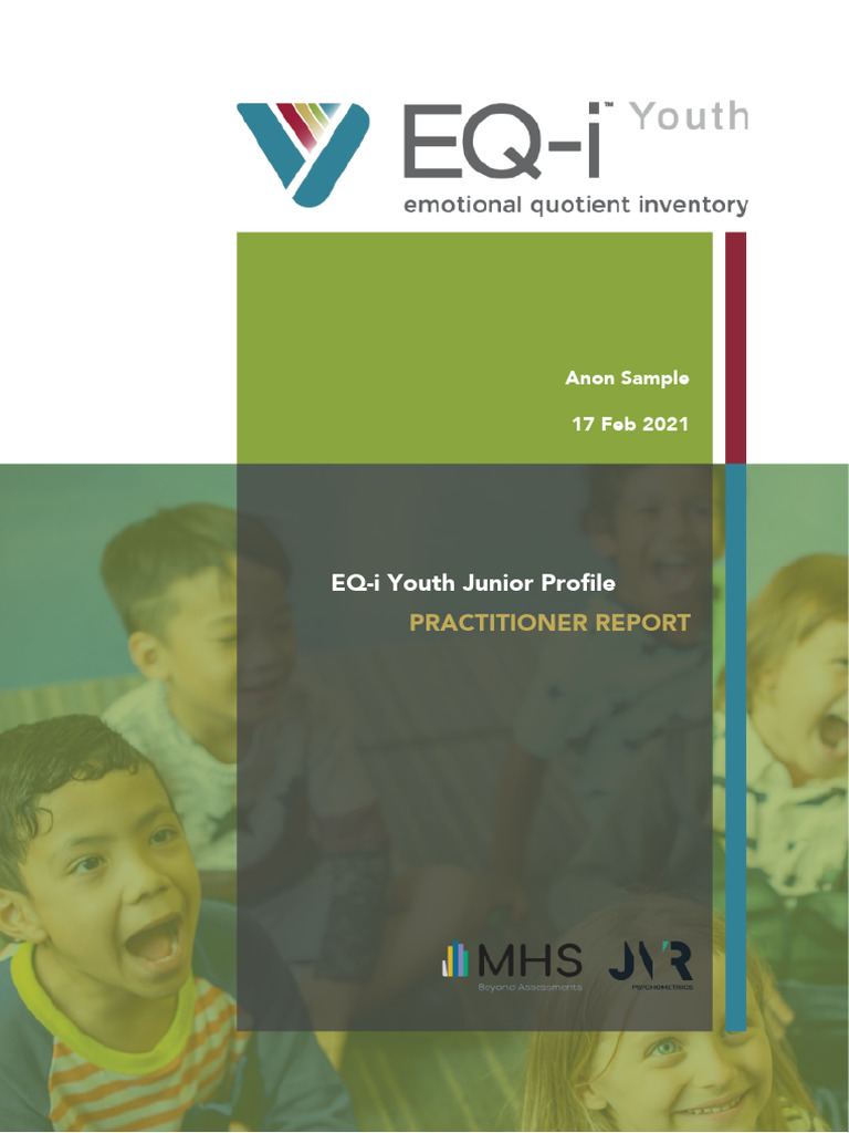 Sample Eq-Iyouth Junior-Practitioner Report | PDF | Goal | Feeling