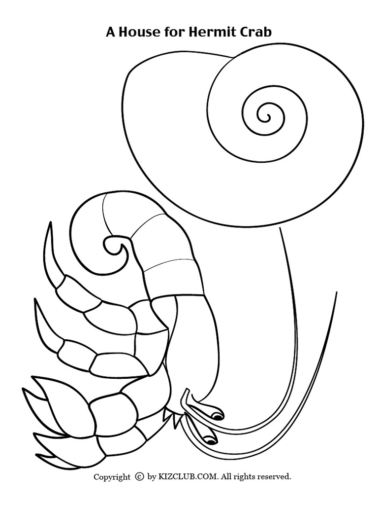 A House Hermitcrab | PDF