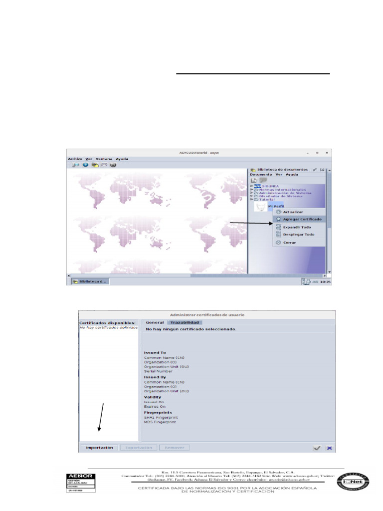 Anexo Xiii Dacg No. Dga 006 2024 | PDF | Autenticación | Certificado de ...
