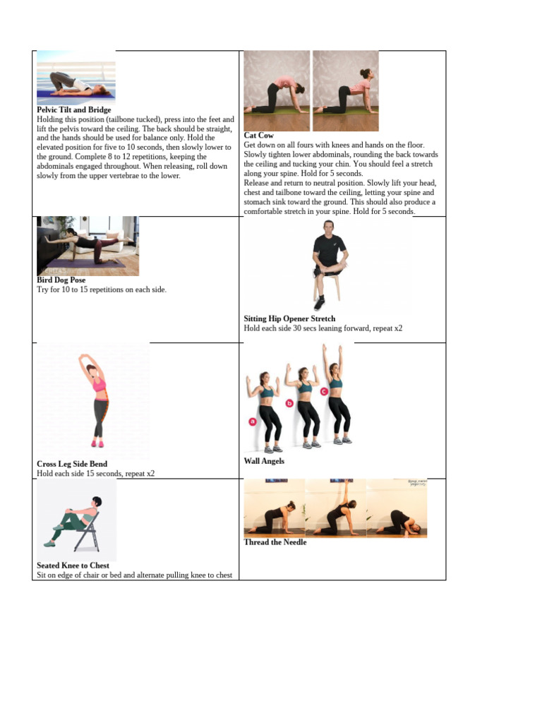 Back Exercises | PDF