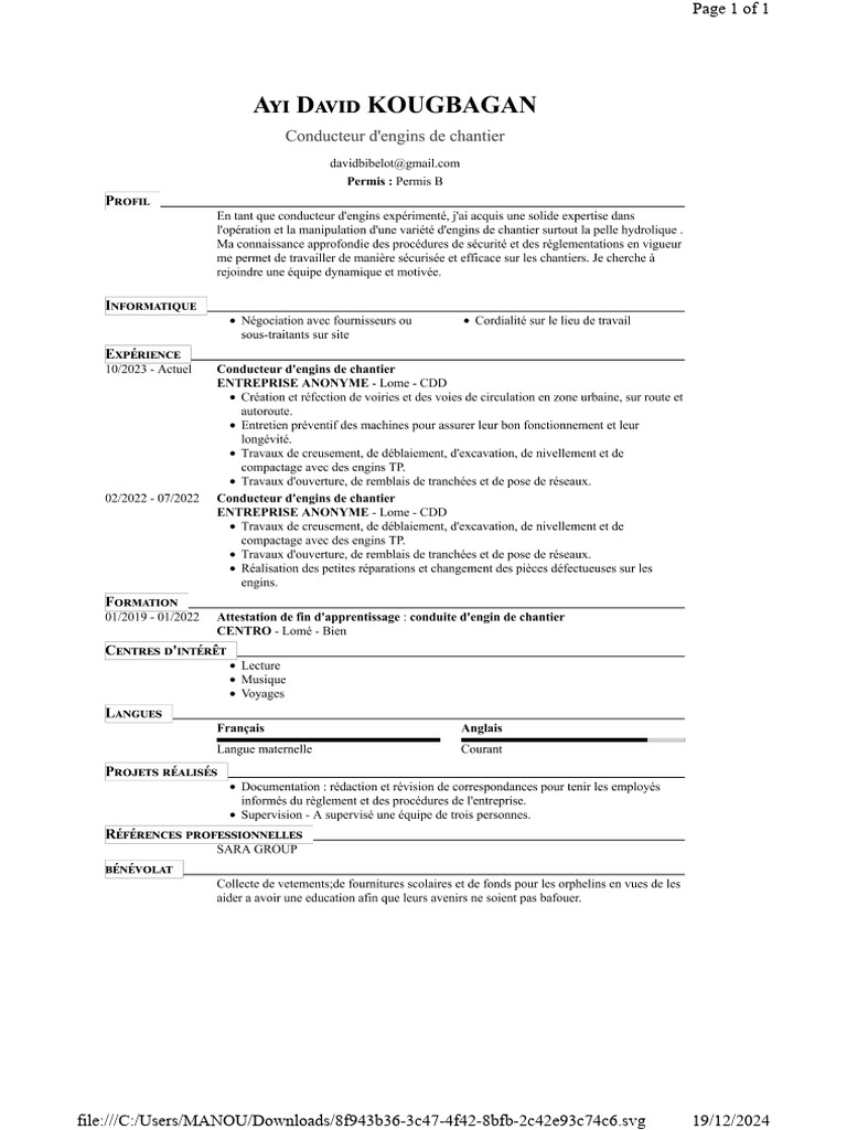 David Cv Canadien | PDF