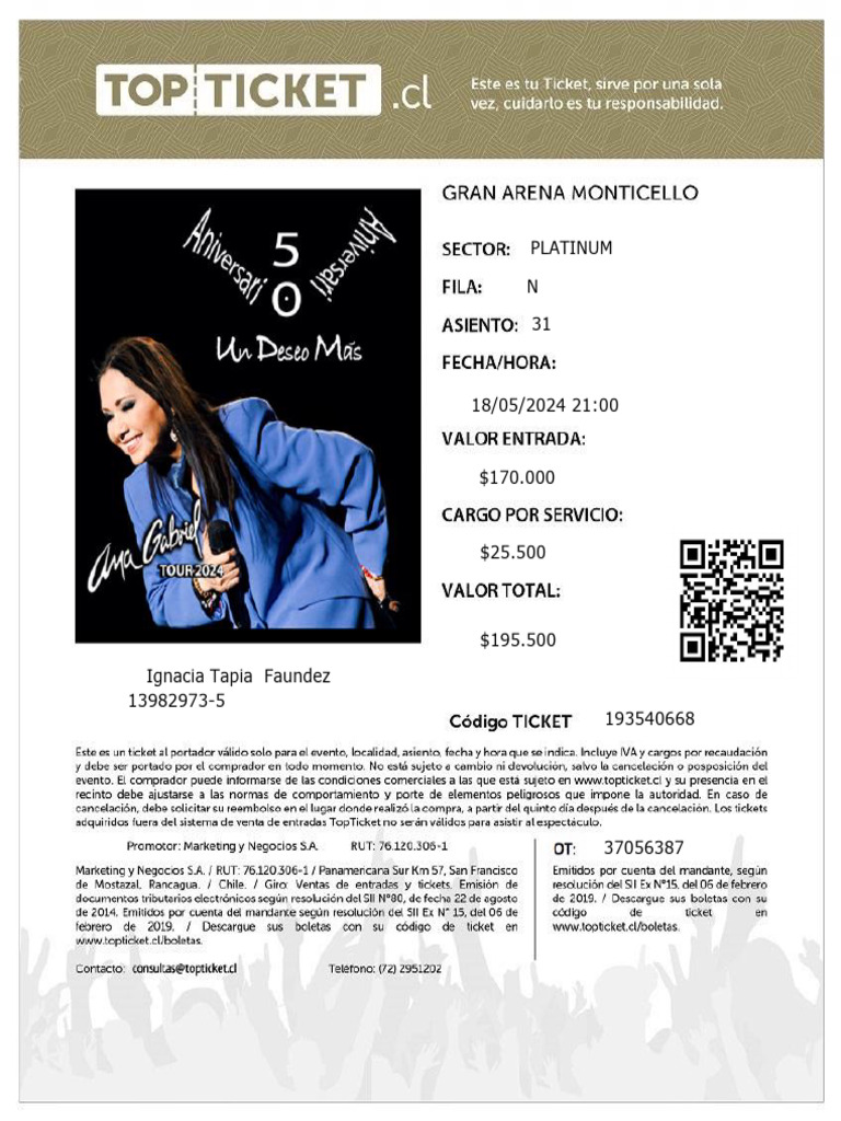 PLATINUM N31 193540668 | PDF