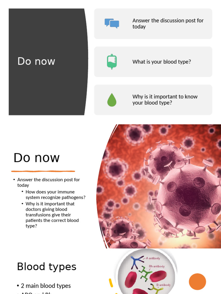 Blood Types and Immune System Basics | PDF