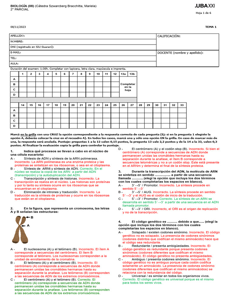 T1 2P2C 2023 Claves | PDF | Rna | Mitosis
