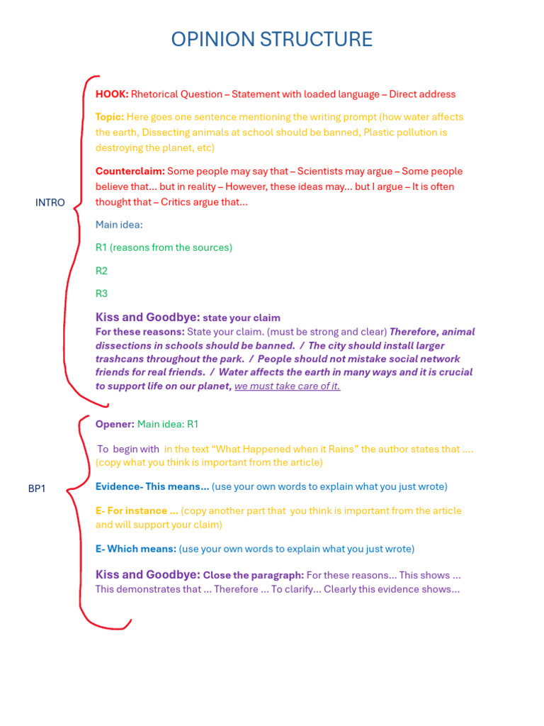 OPINION STRUCTURE For FAST | PDF