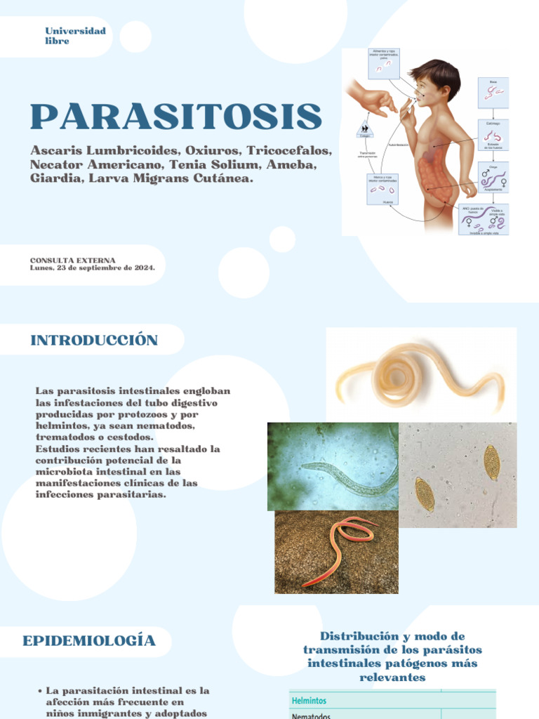 Parasitosis 20241106 134914 0000 | PDF | Especialidades Medicas ...