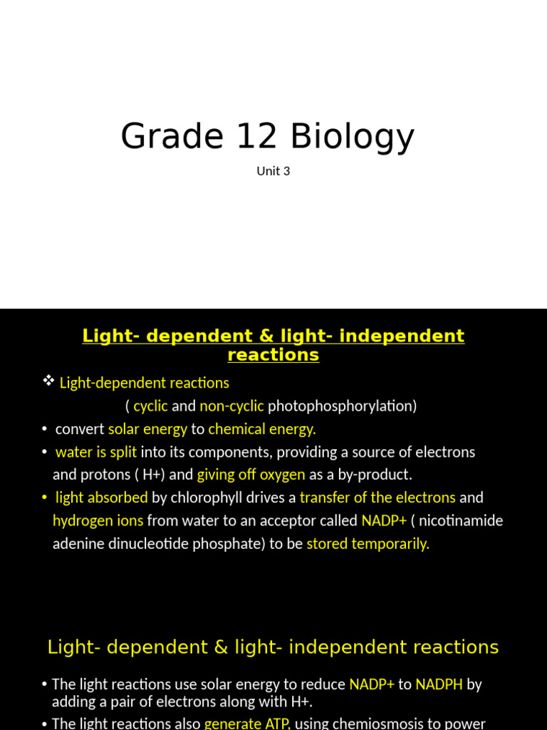 biology grade 12 | PDF | Photosynthesis | Nicotinamide Adenine ...