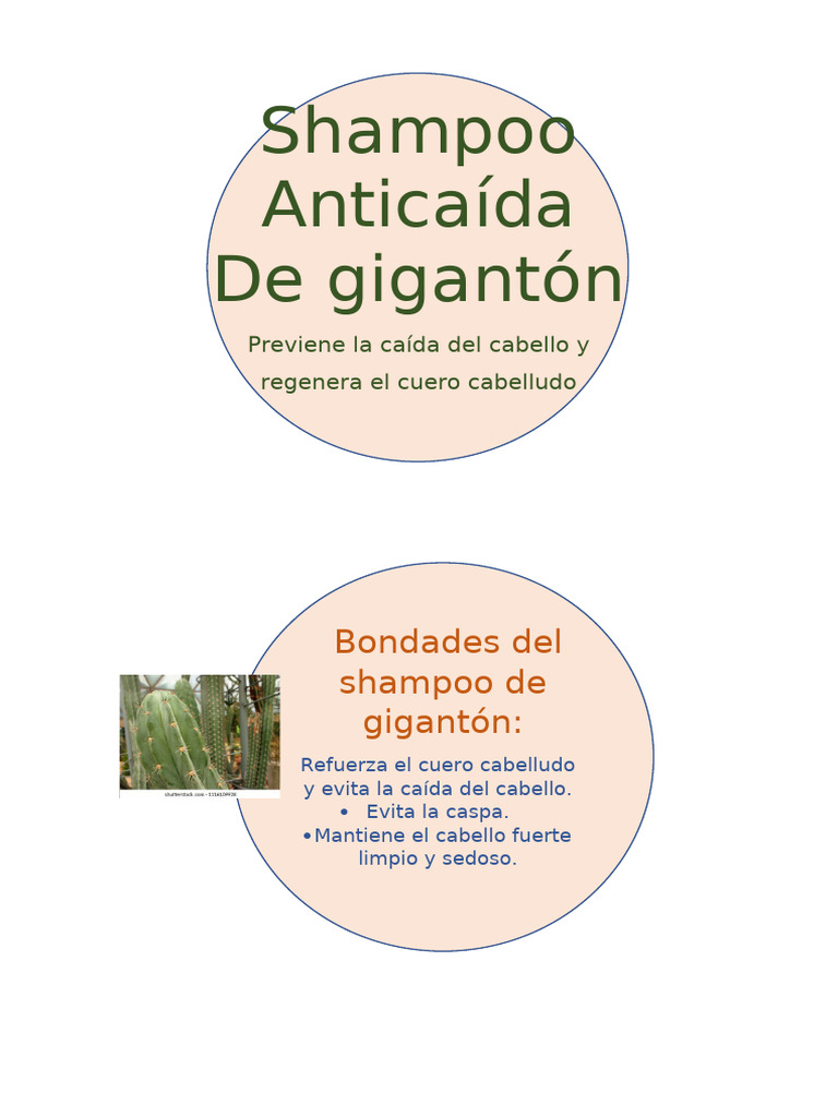 Shampoo Anticaída Gigantón: Beneficios Clave | PDF