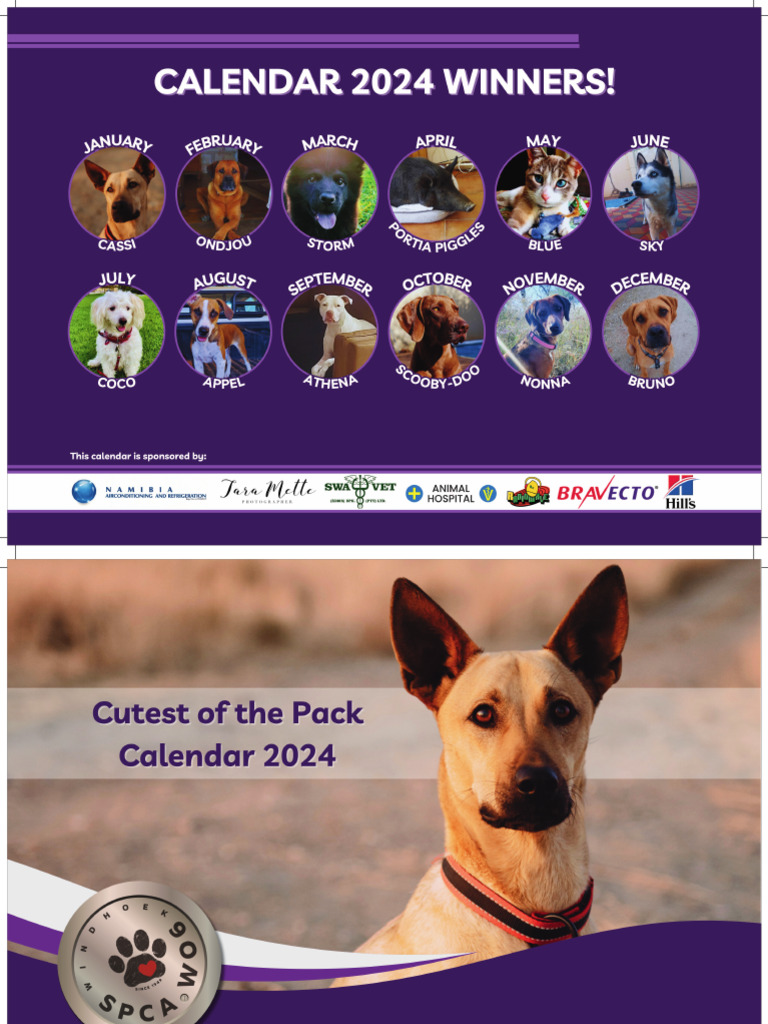 SPCA Calendar 2024 | PDF