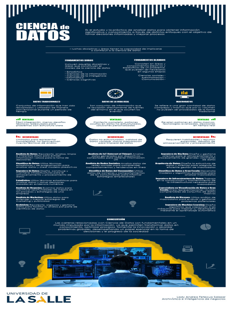 Infografia Carreras de La Ciencia de Datos | PDF | Datos | Big Data