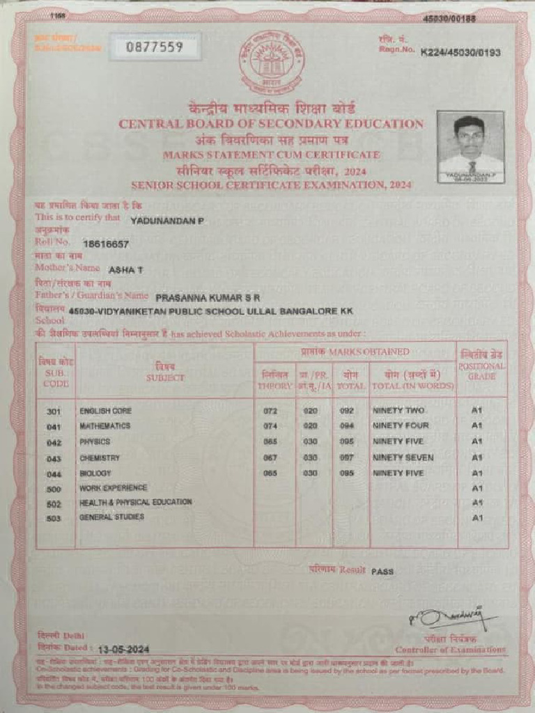 12th Marks Card | PDF