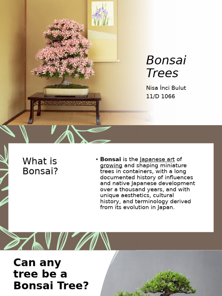 Bonsai | PDF