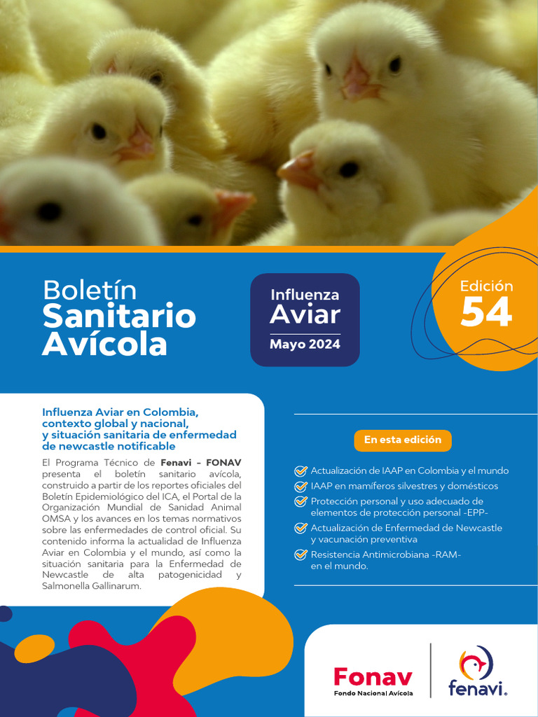 Boletin_Sanitario_ed_54 | PDF | Influenza aviar | Influenza
