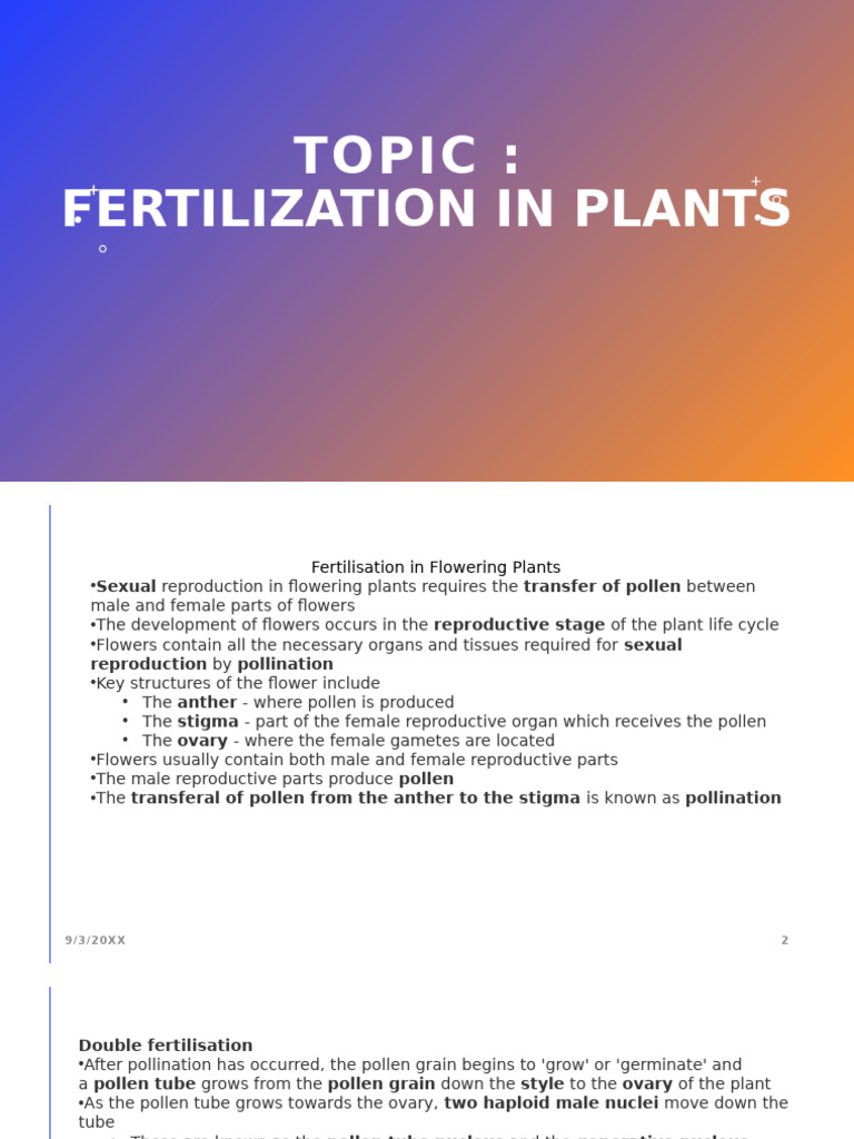 Plant Fertilization Explained | PDF | Fertilisation | Flowers