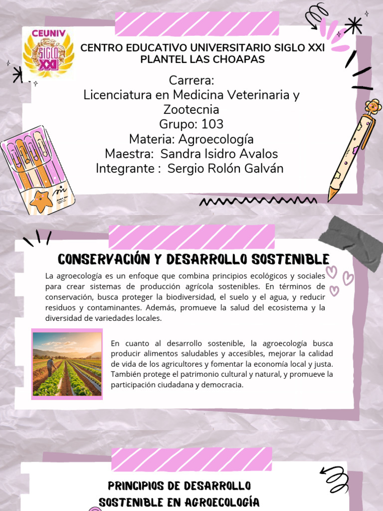 Conservación y Desarrollo Sostenible (Sérgio Rolón Galván) | PDF