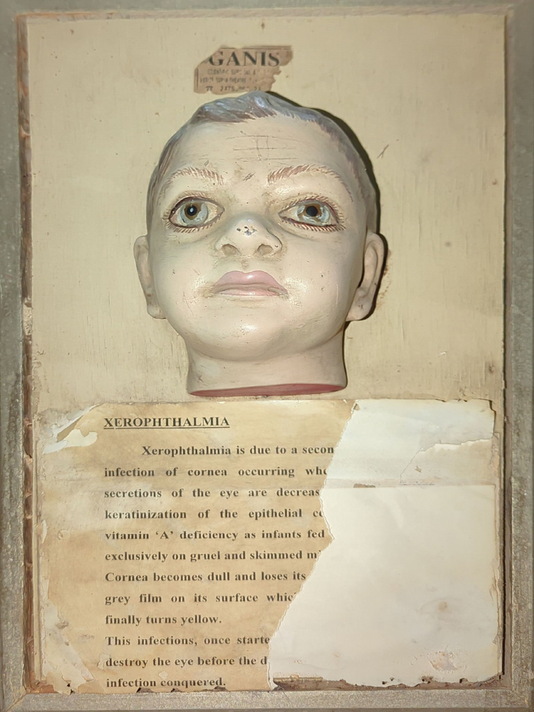 SPM Spotters 1 | PDF