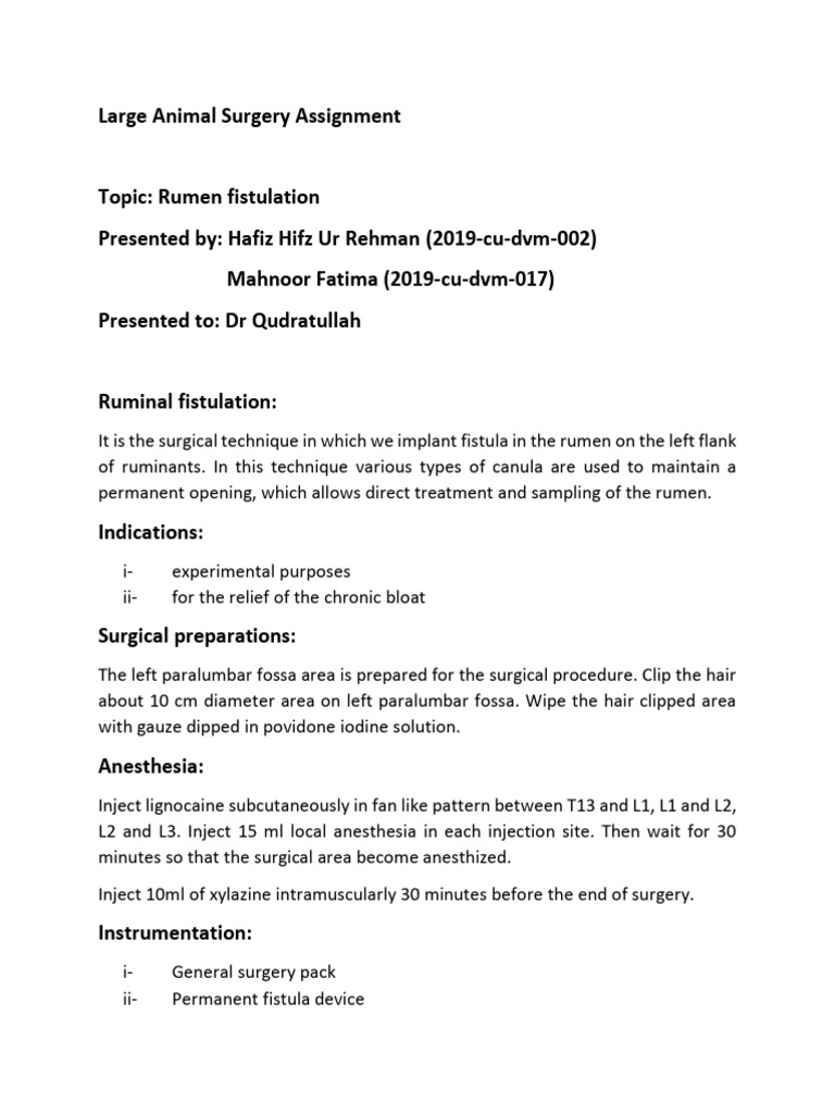 Rumen Fistulation Surgery Guide | PDF | Surgery | Surgical Suture