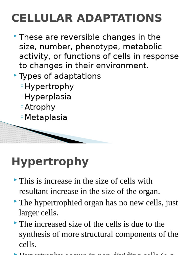 Cellular Adaptations | PDF | Atrophy | Biology