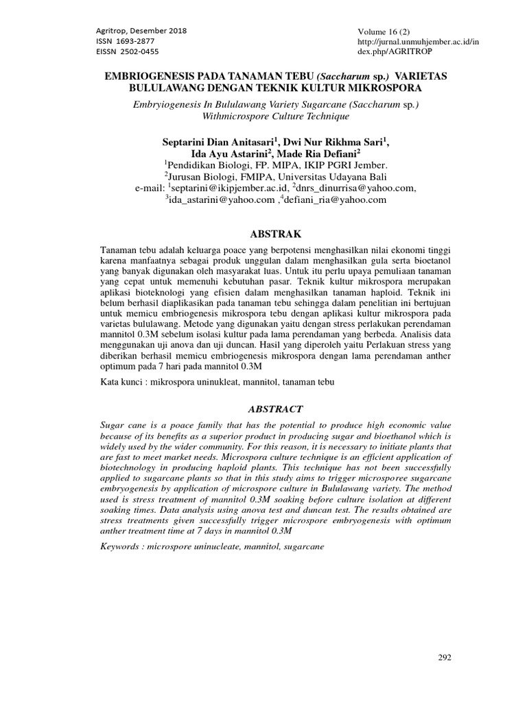 EMBRIOGENESIS PADA TANAMAN TEBU Saccharu | PDF