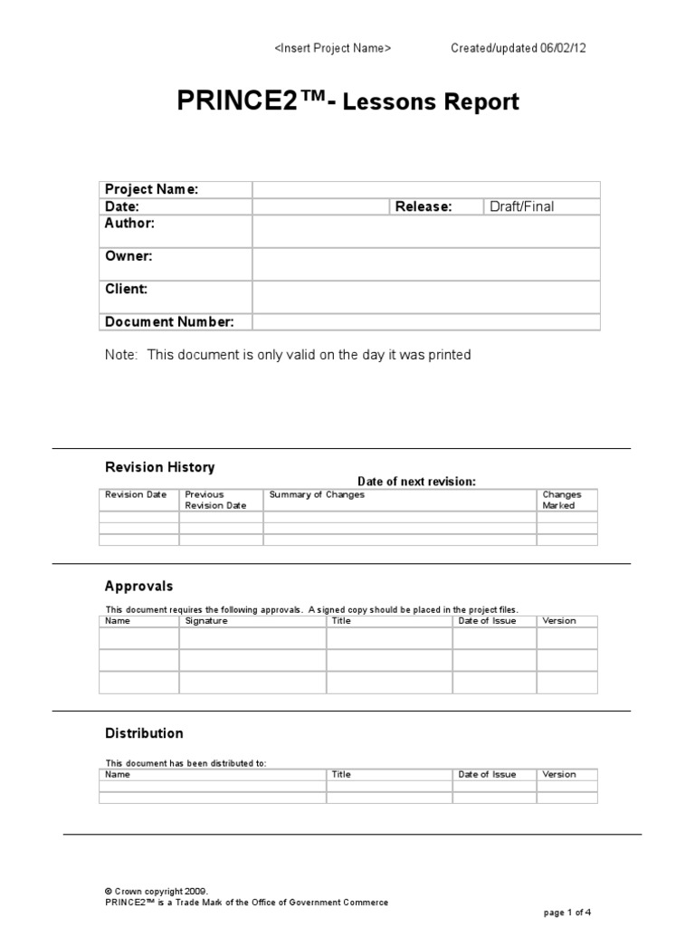 Lessons Report | PDF | Business | Accountability