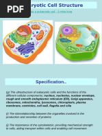 Eukaryotic and Prokaryotic Cell Structure | PDF | Cell (Biology ...