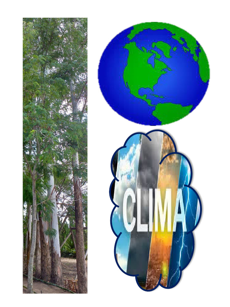 Khale - El Eucalipto | PDF