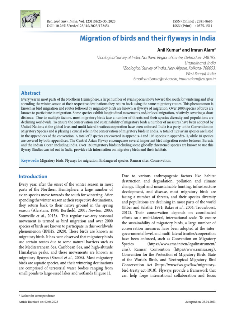 Bird Migration and Flyways in India | PDF | Bird Migration ...