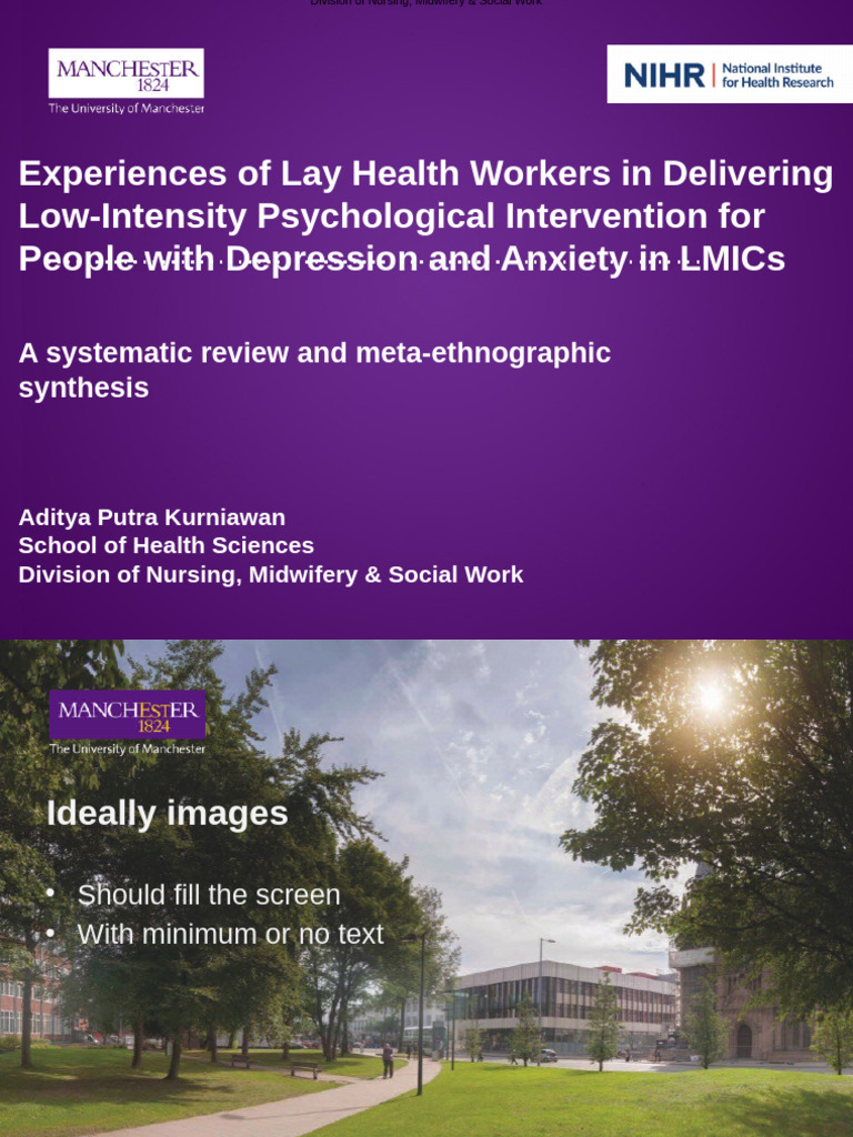 Lay Health Workers in LMICs | PDF