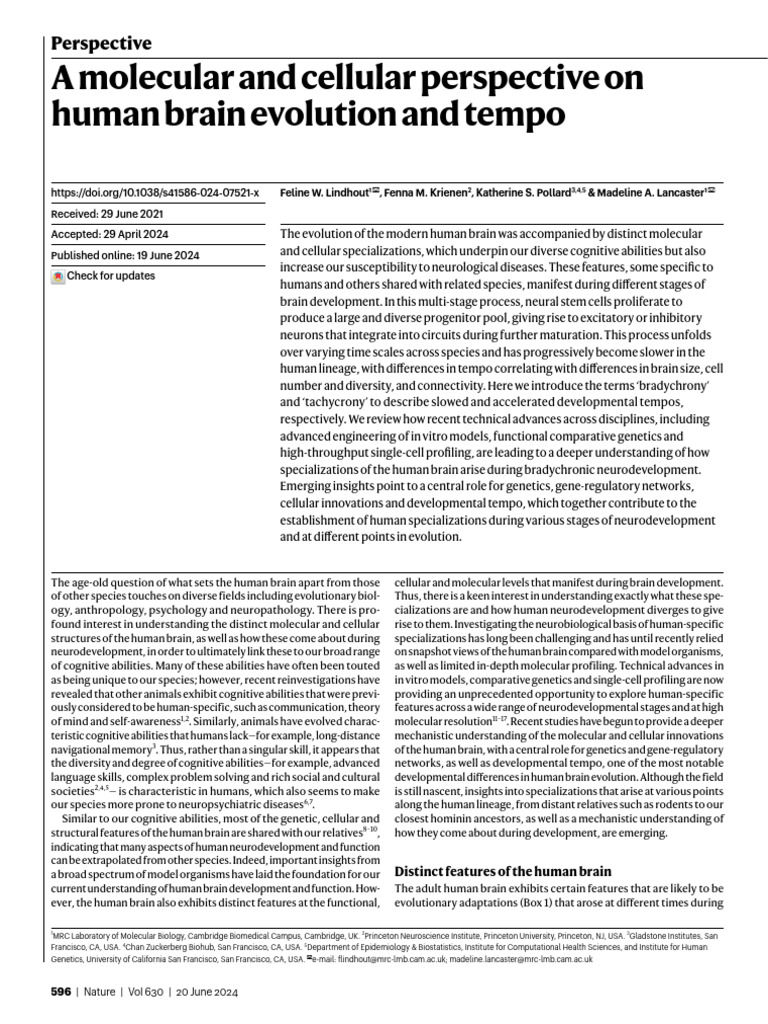 Human Brain Evolution Insights | PDF | Cerebral Cortex | Cerebellum