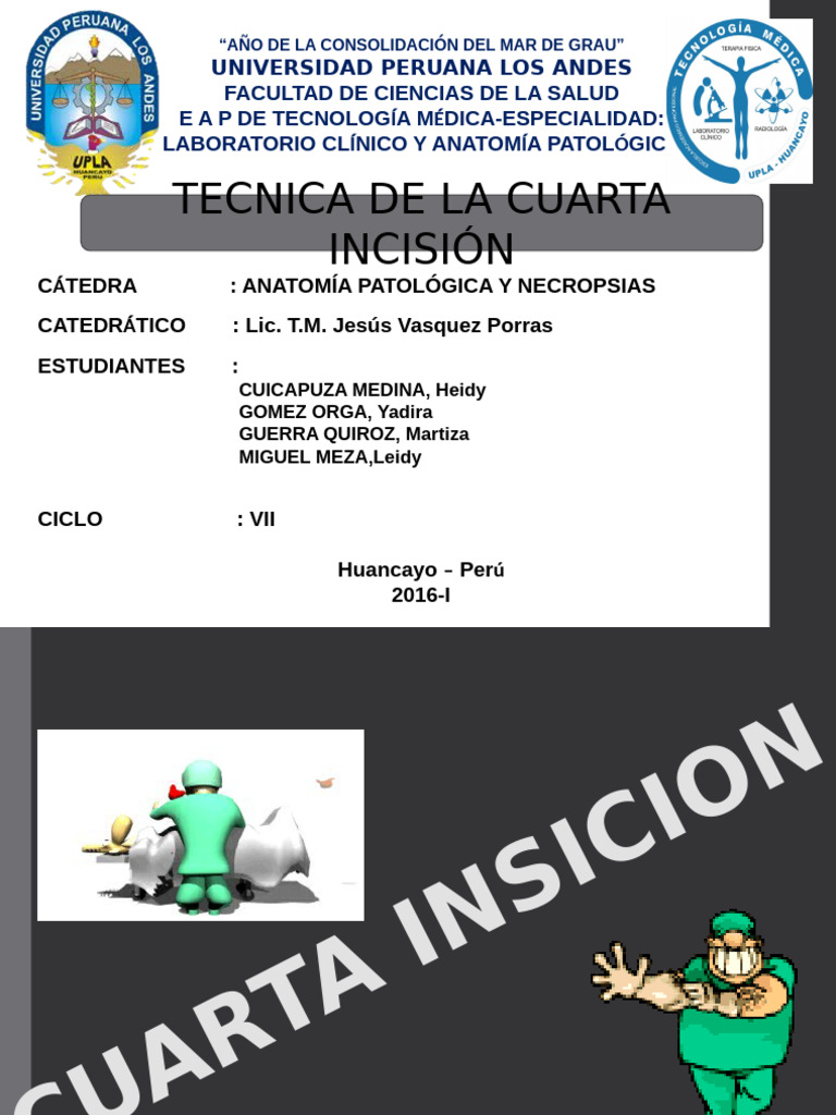 CUARTA-INSICION | PDF | Abdomen | Hombro