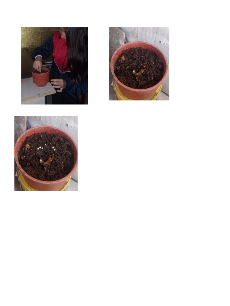 Documento Foto2 | PDF