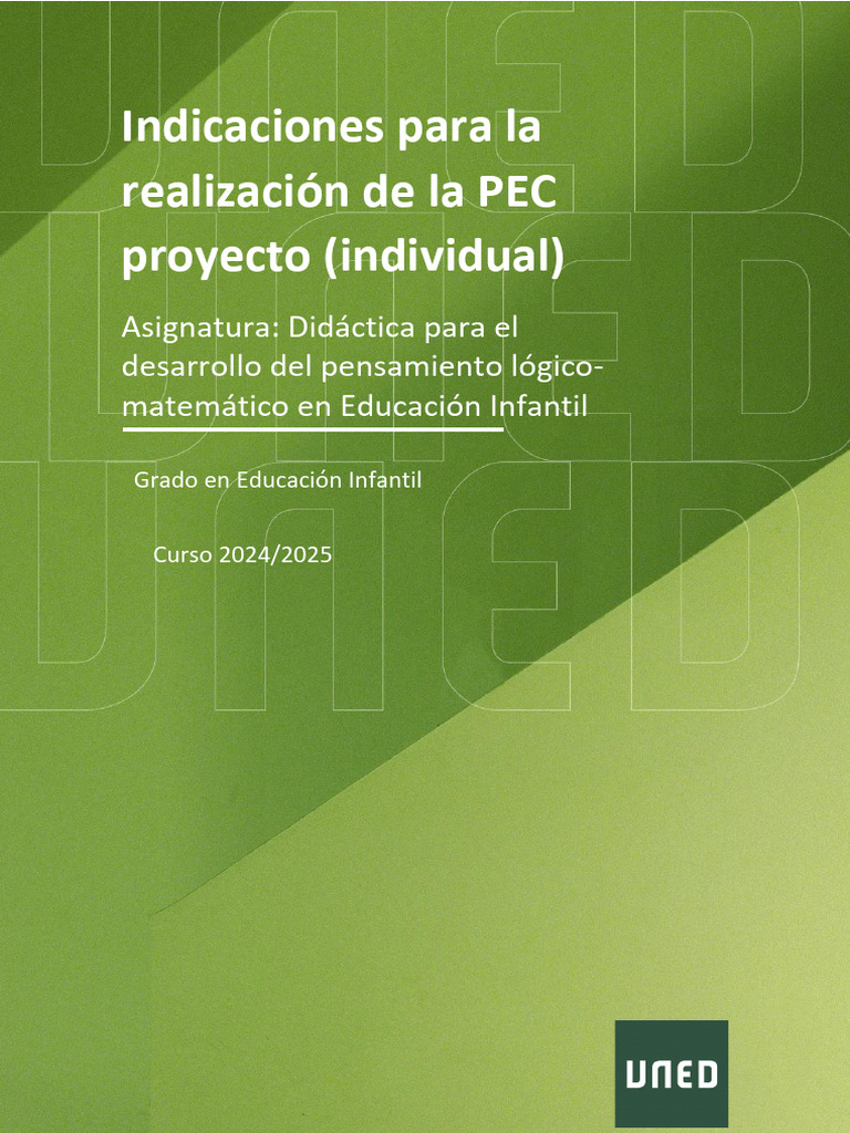 Instrucciones PEC individual (Proyecto) | PDF | Educación de la primera infancia | Evaluación