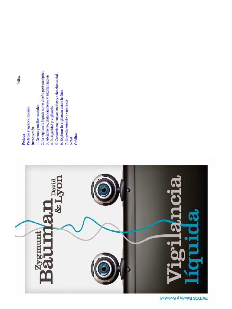 Bauman y Lyon | PDF