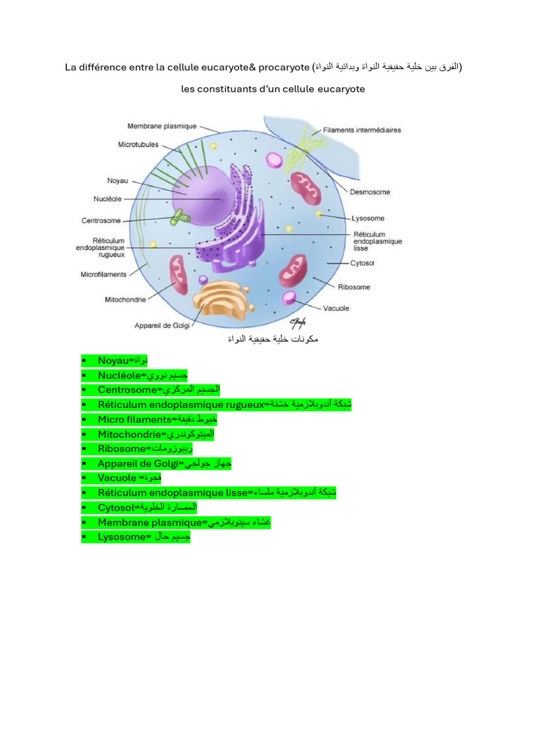 La Cellule Procaryote & Eucaryote | PDF