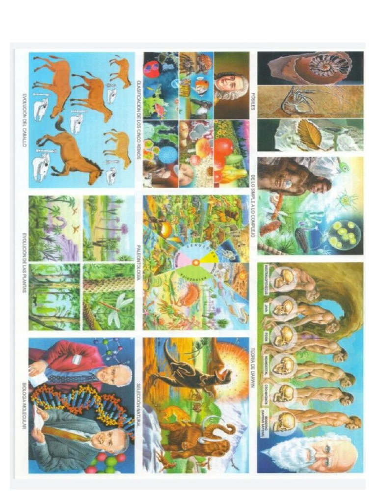 Documento Historia | PDF