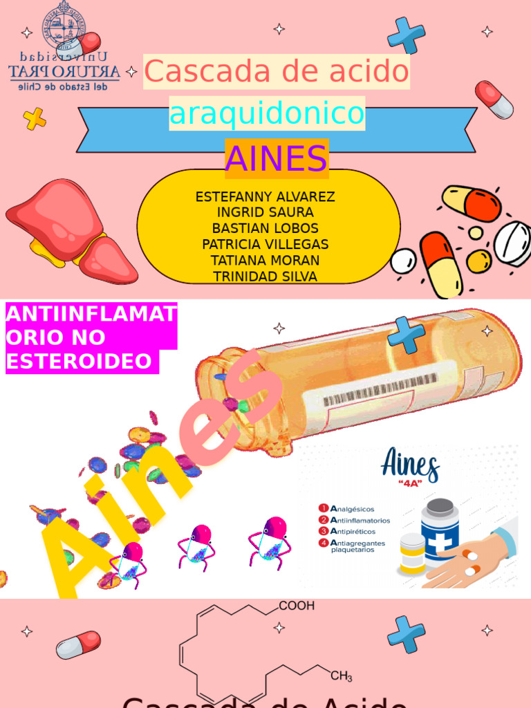 AINEs y la Cascada del Ácido Araquidónico | PDF | Droga anti ...