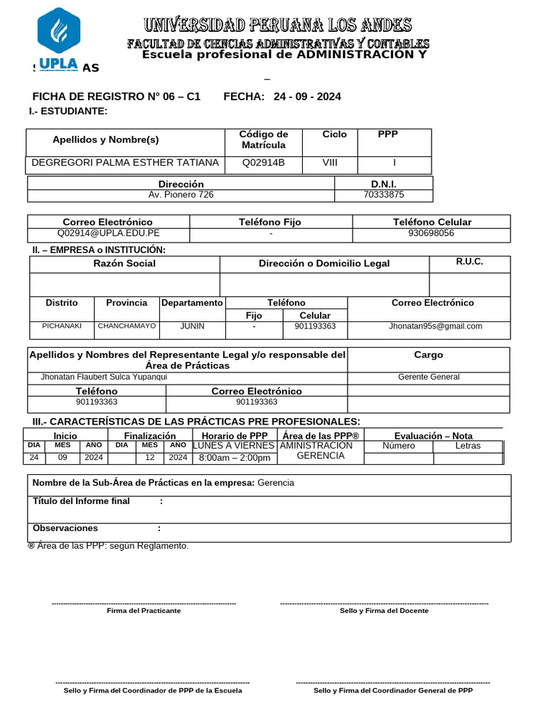 Fichas (Registro, Supervision y Evaluacion) DP | PDF | Business