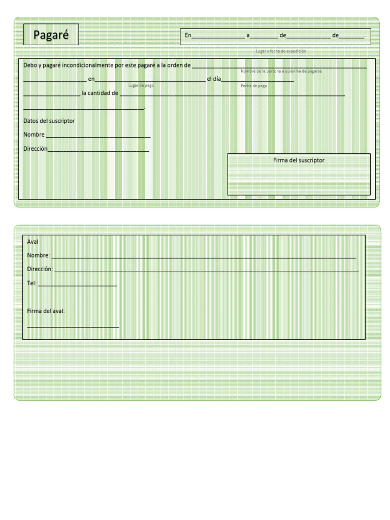 Formato de Pagare Con Aval | PDF