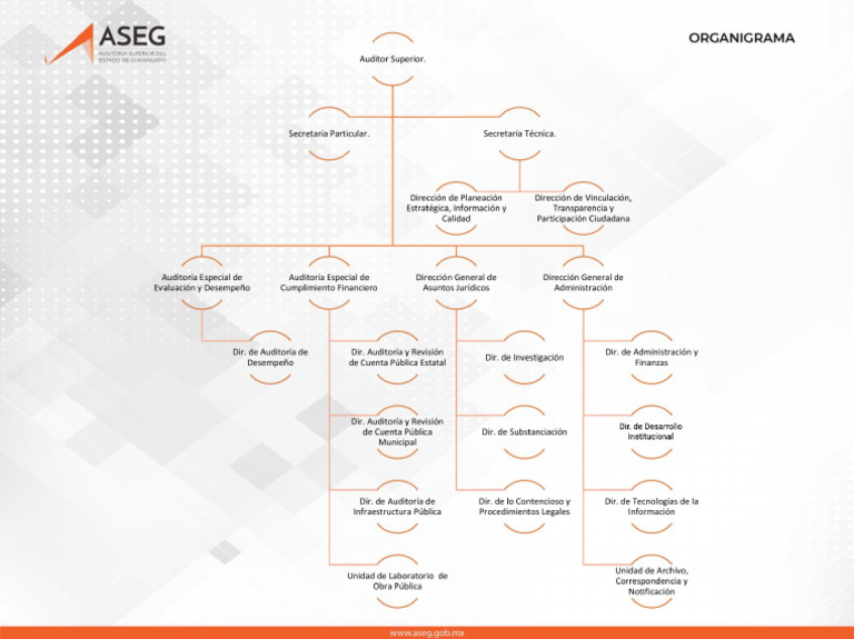 Organigrama Aseg | PDF