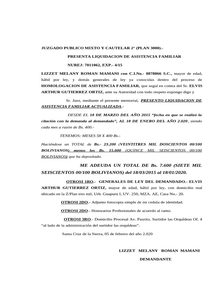 Lizzet Melany Roman Liquidacion de A.F. | PDF