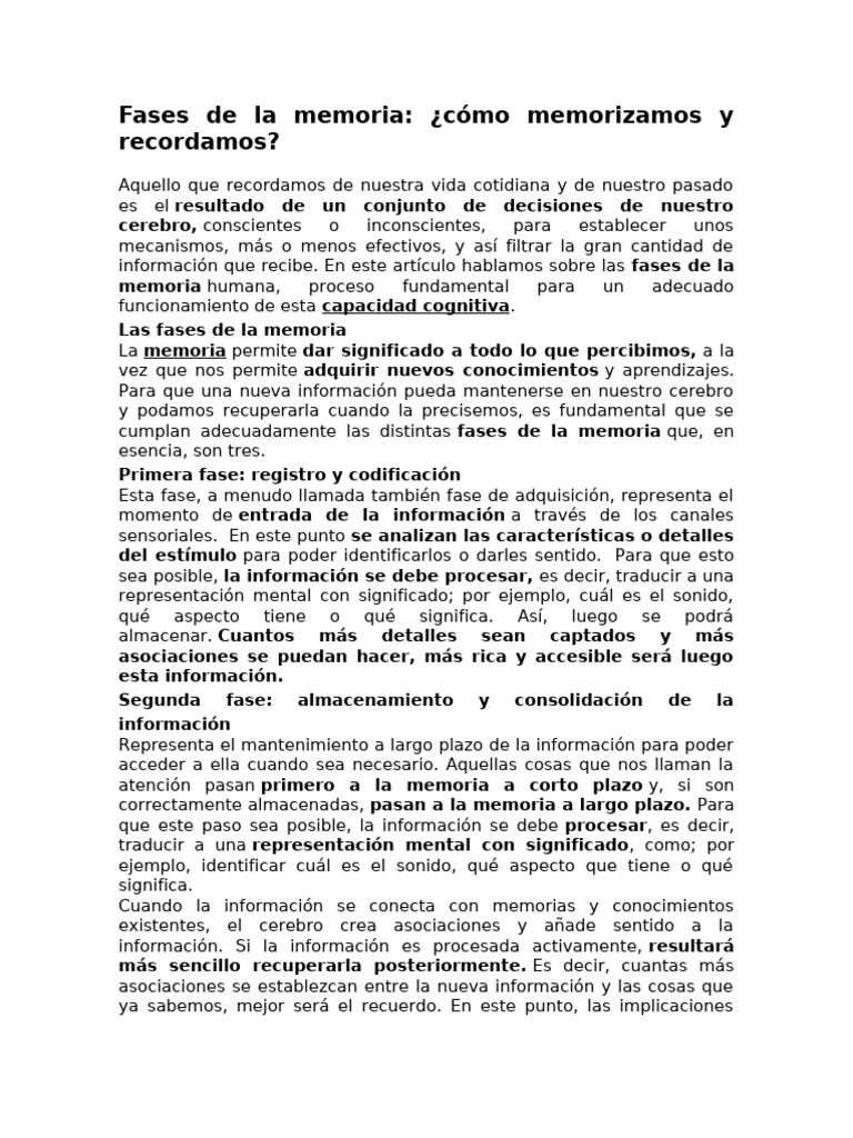 Fases de La Memoria | PDF | Memoria | Información